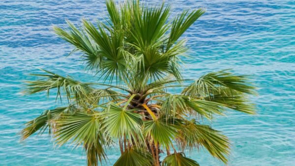 How to Properly Size and Install your Mini Split AC Systems for Optimal ...